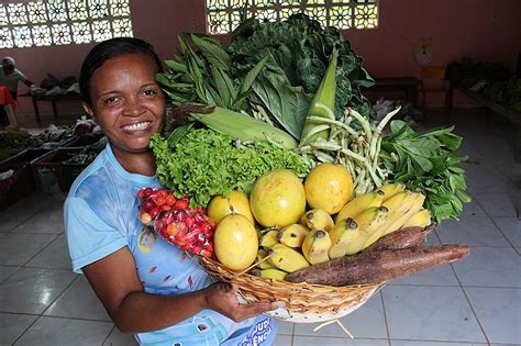 Agricultura familiar é responsável por 450 toneladas de Geral