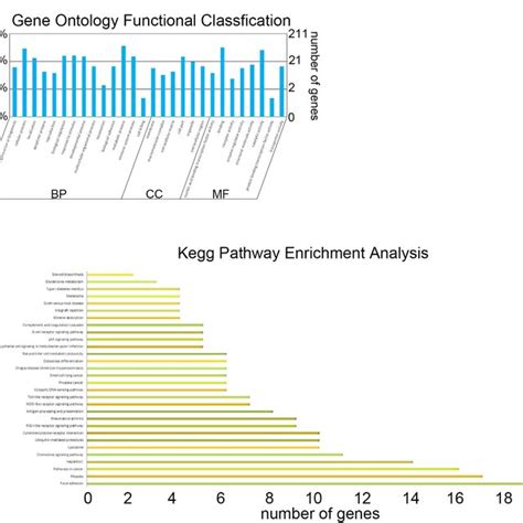 Histogram Of Gene Ontology GO Enrichment And Pathway Analysis Of
