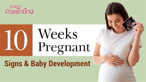 10 Weeks Pregnant Signs And Baby Development YouTube