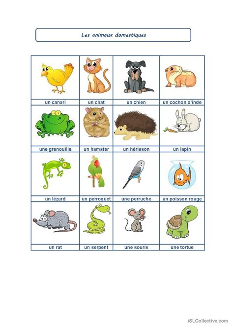 Les animaux domestiques Français FLE fiches pedagogiques pdf doc