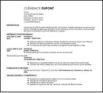 Exemple De Cv Vendeuse