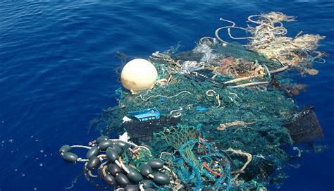 L Impatto Della Plastica Sull Ambiente Marino Rai Cultura
