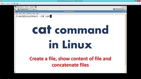 linux command cat create view and concatenate files using cat command youtube