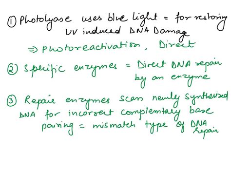 SOLVED Match The Statements With The Correct Types Of DNA Repair Systems