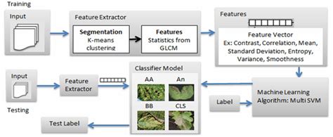 plant leaf disease detection using convolutional neur