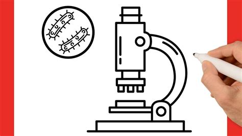 Microscopio Con Sus Partes Para Dibujar El Microscopio El Instrumento