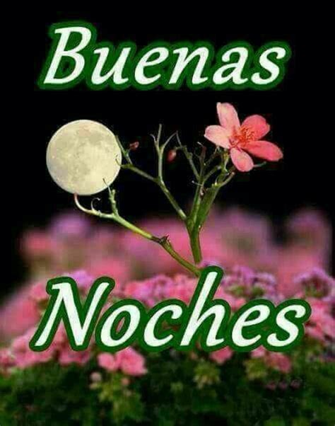Buenas Noches Imágenes Y Frases Lindas Hermosasimagenes Net Sweet