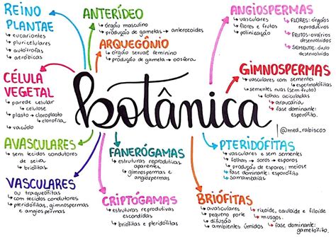 Nica Resumos E Mapas Mentais Infinittus