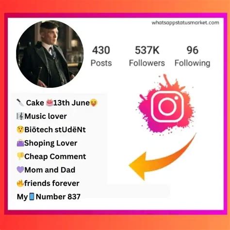 Best Birthday Bio For Instagram Birthday Bio