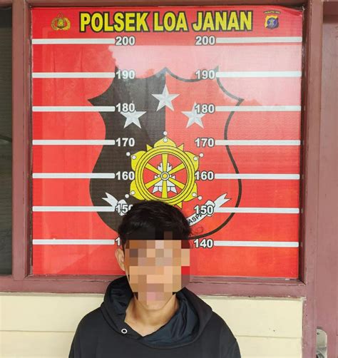 Ungkap Kasus Narkoba Jenis Sabu Unit Reskrim Polsek Loa Janan Amankan