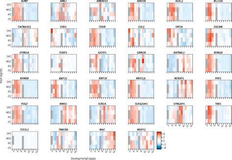 Gene Hunting In Autism Spectrum Disorder On The Path To Precision
