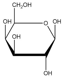 Carbohydrates Structure