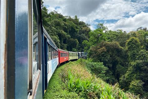 Passeio de Trem Morretes experiência imperdível em Curitiba