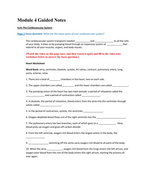 Tissues Of Arteries And Veins Worksheet