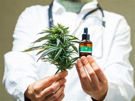 20 de abril día mundial de la marihuana