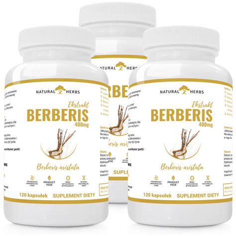 Berberis Ekstrakt 400mg Berberyna WEGE 3x120kaps 9401236847 Allegro Pl