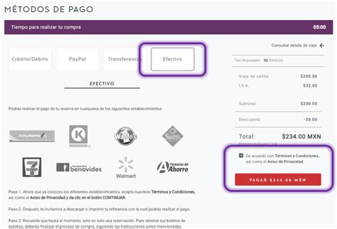 Forma De Pago En Efectivo Open Pay ADO