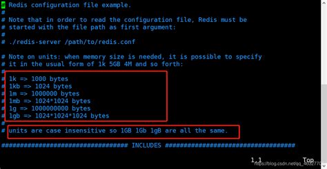 redis配置文件详解 redis logo怎么弄出来 csdn博客