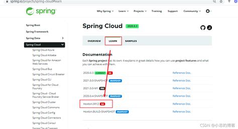 如何选择springcloud对应的springboot版本 spring boot 官网地址 csdn博客
