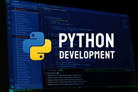 do python programming language by karen av fiverr
