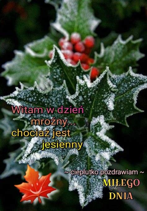 Pin by Zofia on Jesień Movie posters Poster Plants