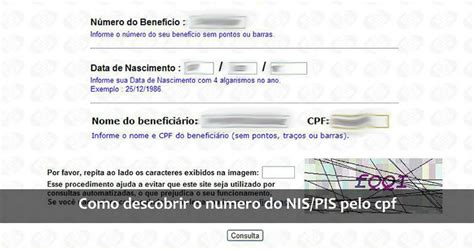 como descobrir o numero do NIS PIS pelo cpf Tira Dúvidas Online