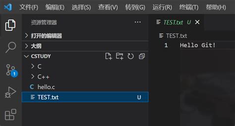 vscode使用git vscode git csdn博客