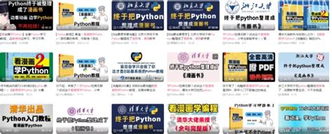 《看漫画学python》1、2版分享，初阶 进阶一起学 看漫画学python 百度网盘 csdn博客