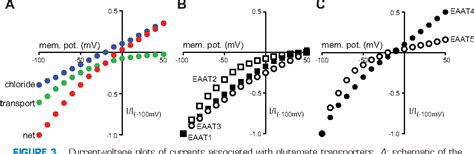 Figure 1 From Mechanisms Of Glutamate Transport Semantic Scholar