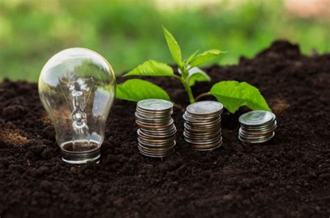 Créditos de carbono o que é como funciona e para que serve