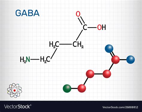 Gamma Aminobutyric Acid Gaba Molecule Royalty Free Vector
