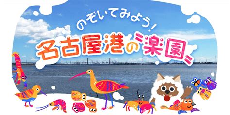 名古屋港湾 on Twitter RT nagoyatv news ラムサール条約 登録から20年 名古屋港 の貴重な湿地 藤前
