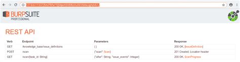 python 自动化 web 应用扫描｜第一部分详解 python 渗透教程 无涯教程网