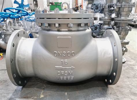 Non Return Check Valve GOST ANSI DIN Standard Ss Wcb Cast Iron