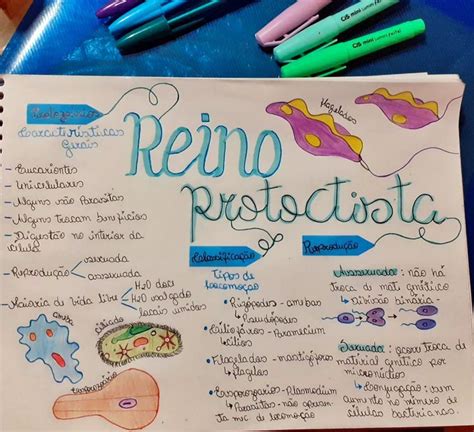 REINO PROTISTA Reino Protista Mapas Mentais Mapa