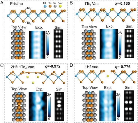 Discrete Scale Invariance Of The Quasi Bound States At Atomic Vacancies
