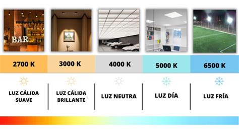 Reflector Led Bellalux 10w Luz Fría Exterior Pack X 2 Eléctrica 631