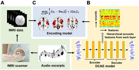 frontiers exploring hierarchical auditory representation via a neural encoding model