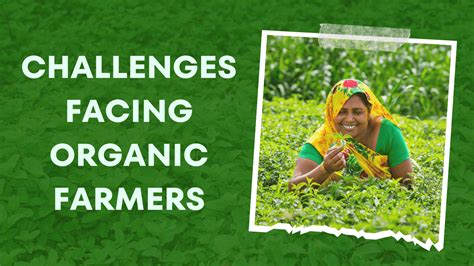Challenges Facing Organic Farmers Pavitramenthe Fair Organic Pvt Ltd
