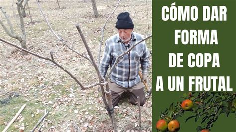 Cómo podar un árbol frutal y darle forma de copa en 10 minutos YouTube