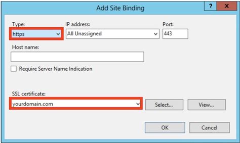 install ssl certificate microsoft iis 16206 hot sex picture