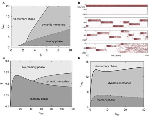 frontiers emerging phenomena in neural networks with dynamic synapses and their computational
