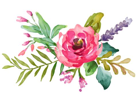 Flores Acuarela Png Clear Background