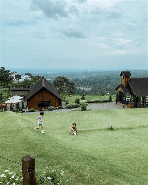 The Olive Branch Taman Dayu Foto Dan Harga Menu Terbaru Wisata Milenial