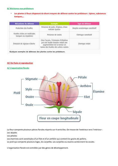 Organisation des plantes à fleurs et vie fixée Cours 1 AlloSchool