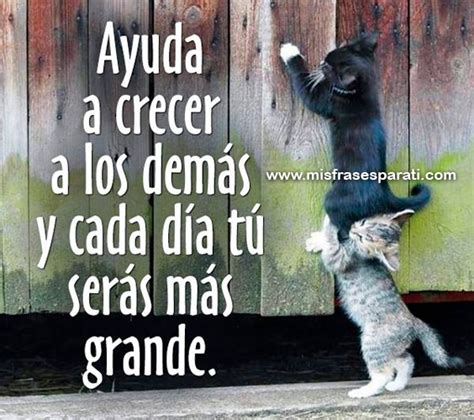 Arriba 103 Foto Imagenes De Ayudar A Los Demas El último