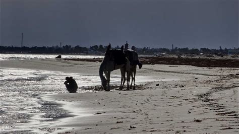 DJERBA lac salé YouTube
