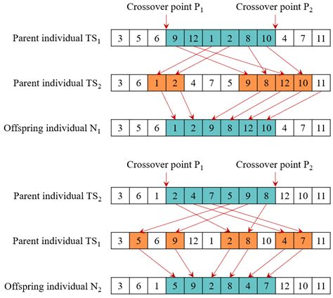 mathematics free full text multi objective optimization for mixed model two sided