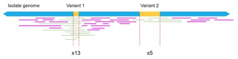 long read structural variant calling bioinformatics documentation