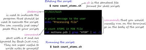 7 shell scripts